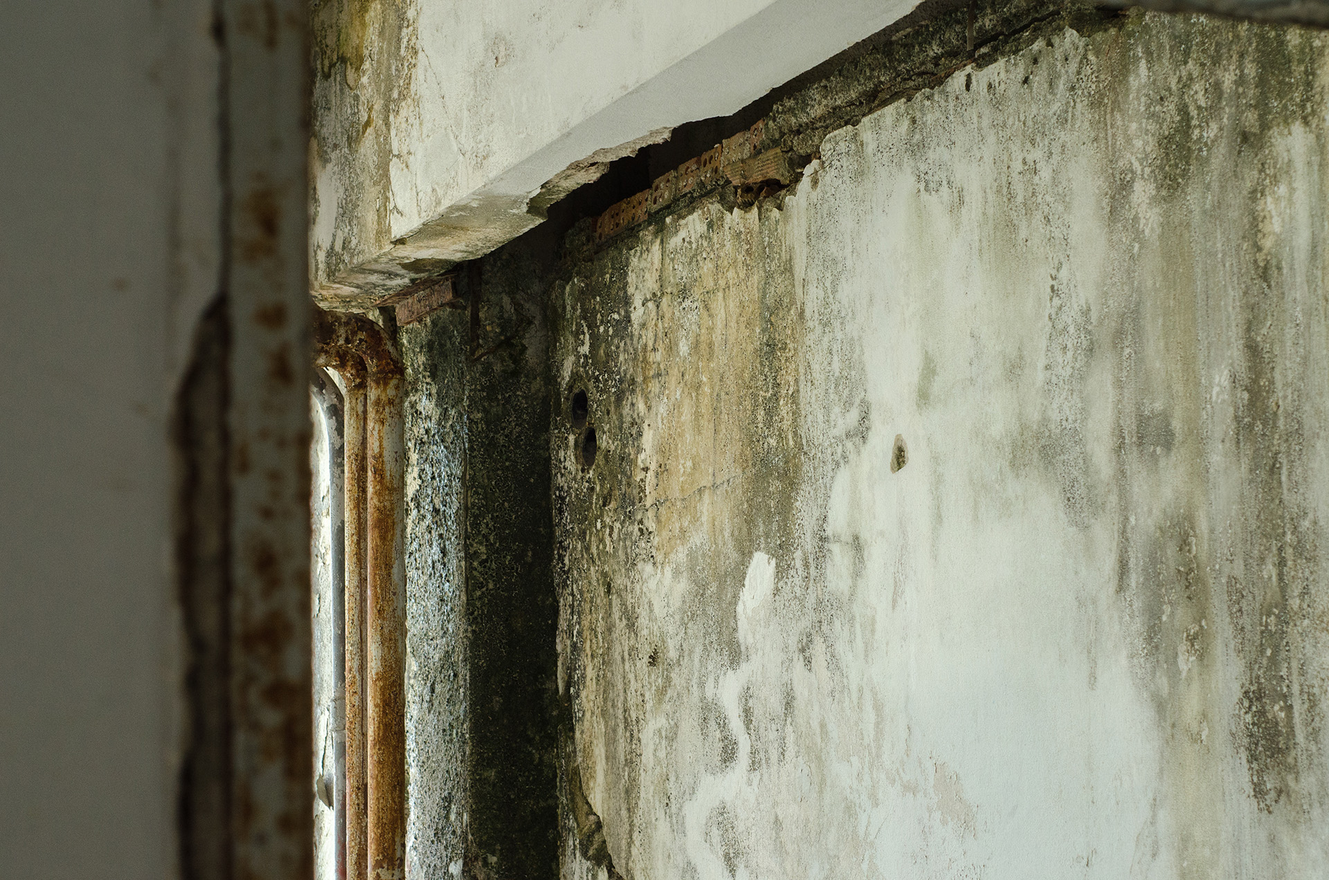 Damp & Mould Remediation Services | Inner City Environmental